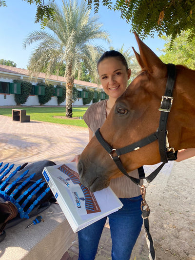 Saddle Fitting – Equestrian Hub