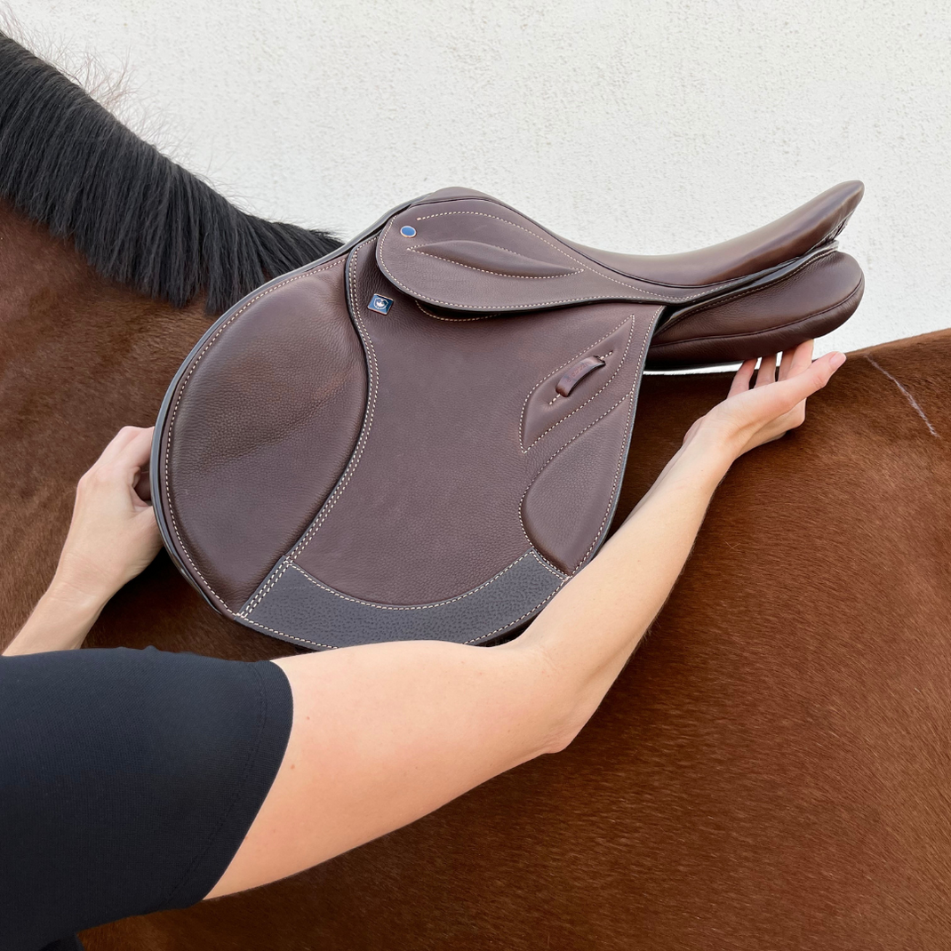 Saddle Fitting – Equestrian Hub