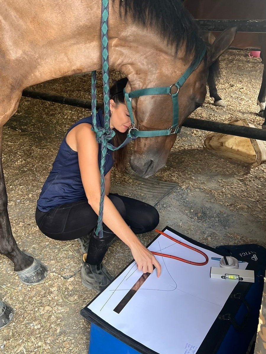 Saddle Fitting – Equestrian Hub